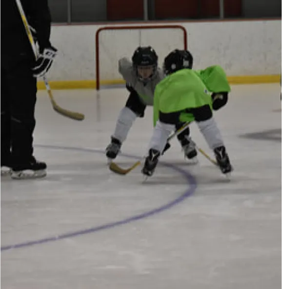 Newington-Ice-Arena - Arena Overview