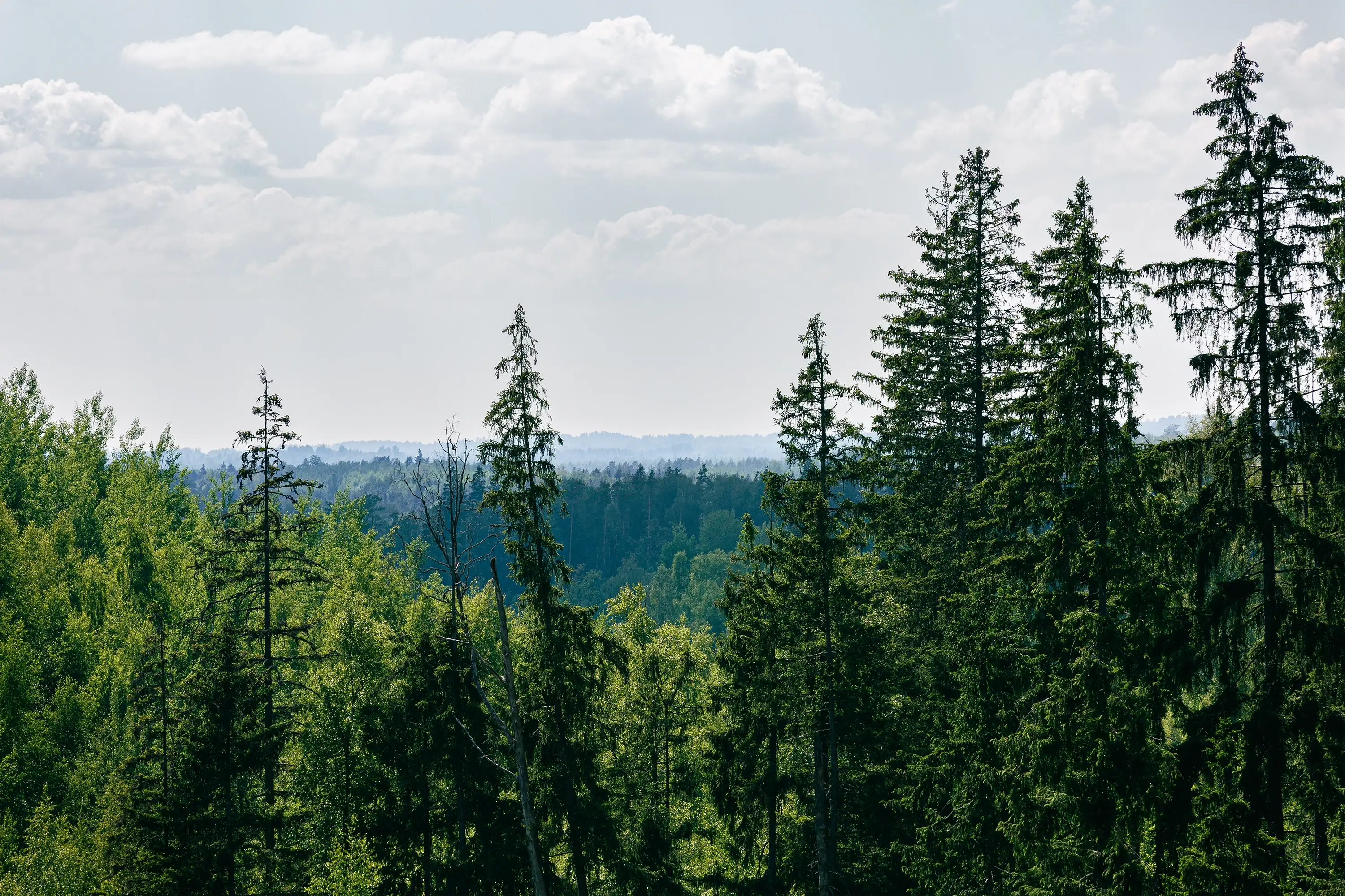 Asketic - Baltic Block