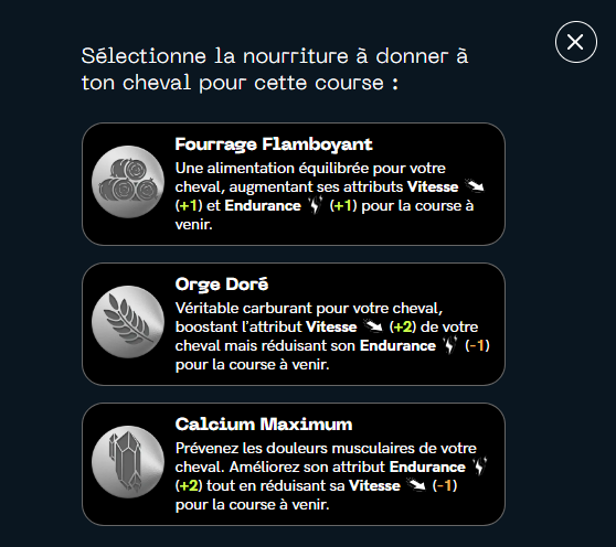 Patch Note du 18 janvier 2024 | Blog Stables