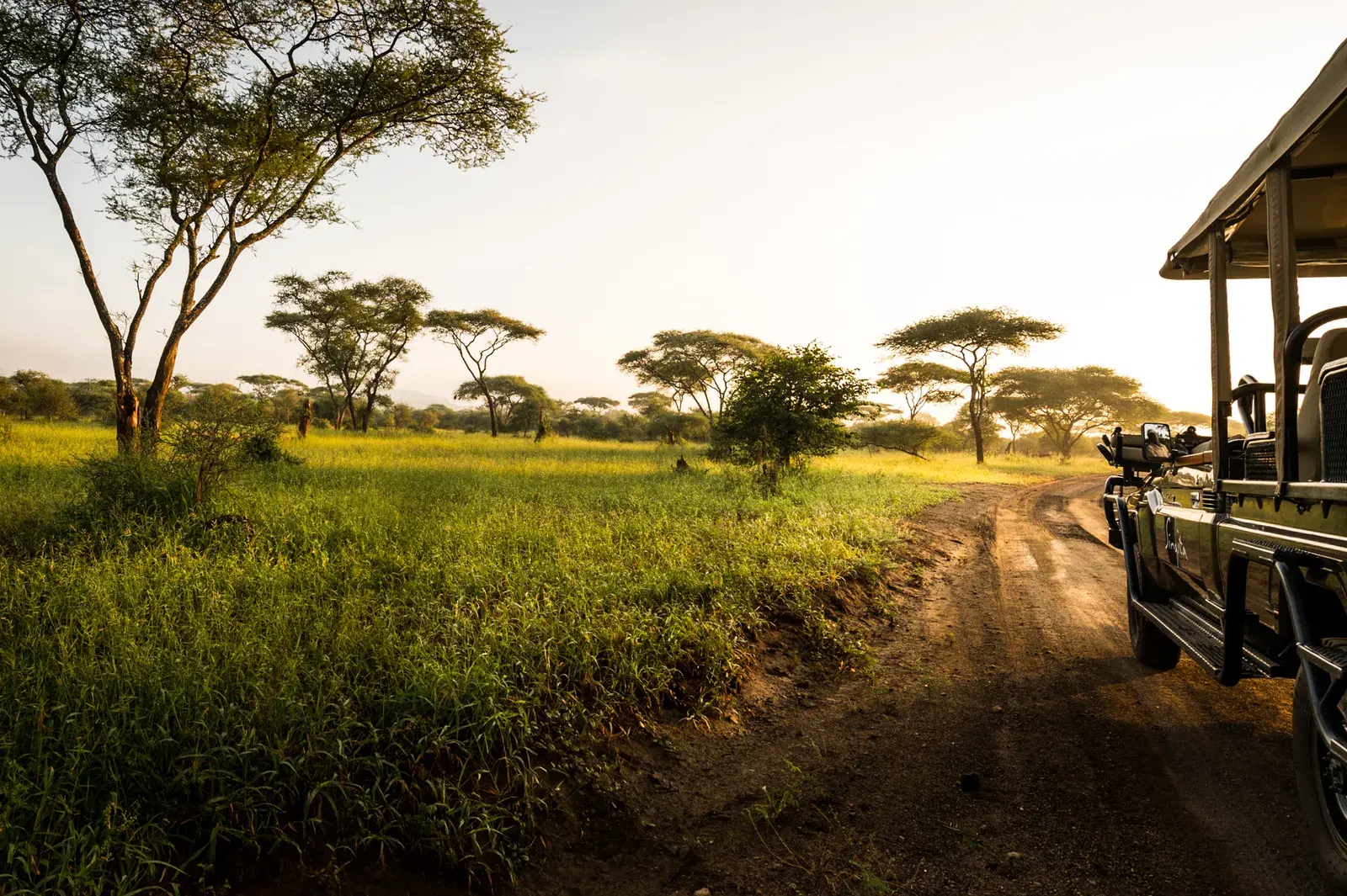 Luxury Travel Experiences Tailored Just For You | The Upgrade Travel