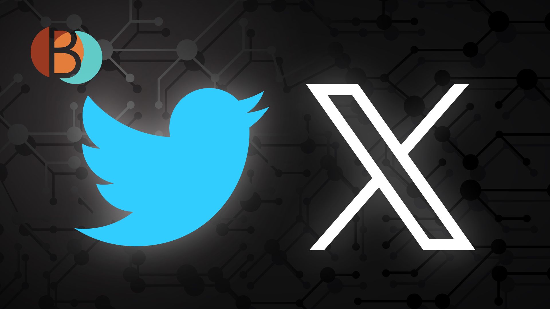 What is the X Factor for Your Social Media Strategy? | Brandience