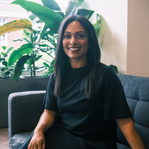 House 337 - Our Expertise