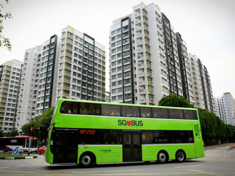 Tower Transit Singapore – TODAY: Better services overall with new bus ...