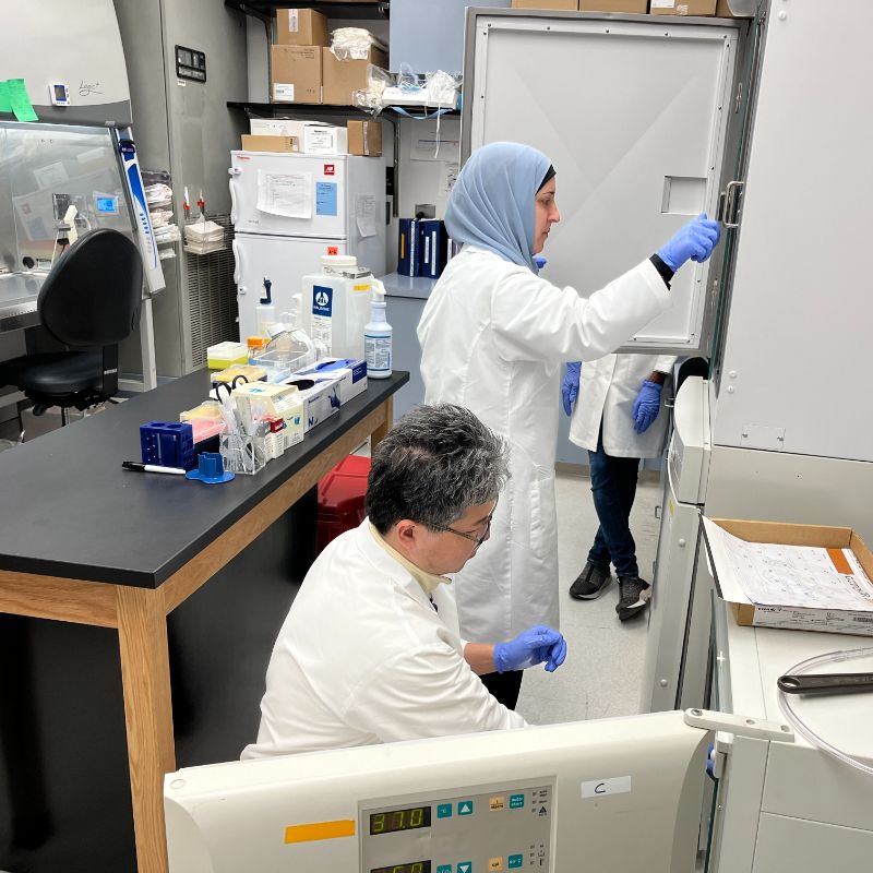 Michigan Kidney Translational Medicine Center (MiKTMC)