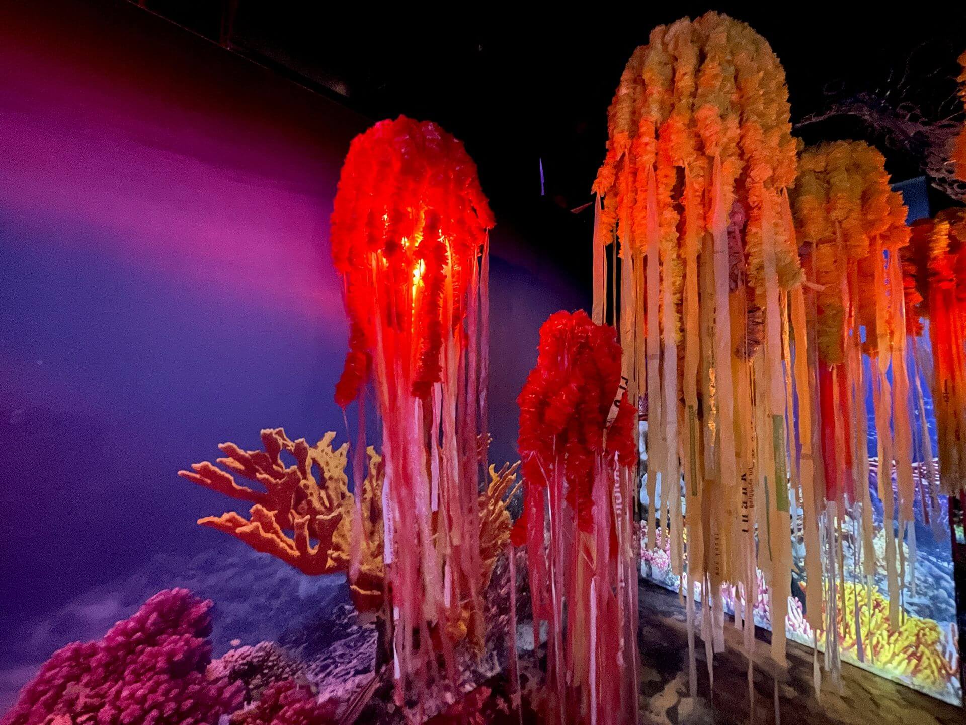 Arcadia Earth | An Immersive Art & Technology Experience