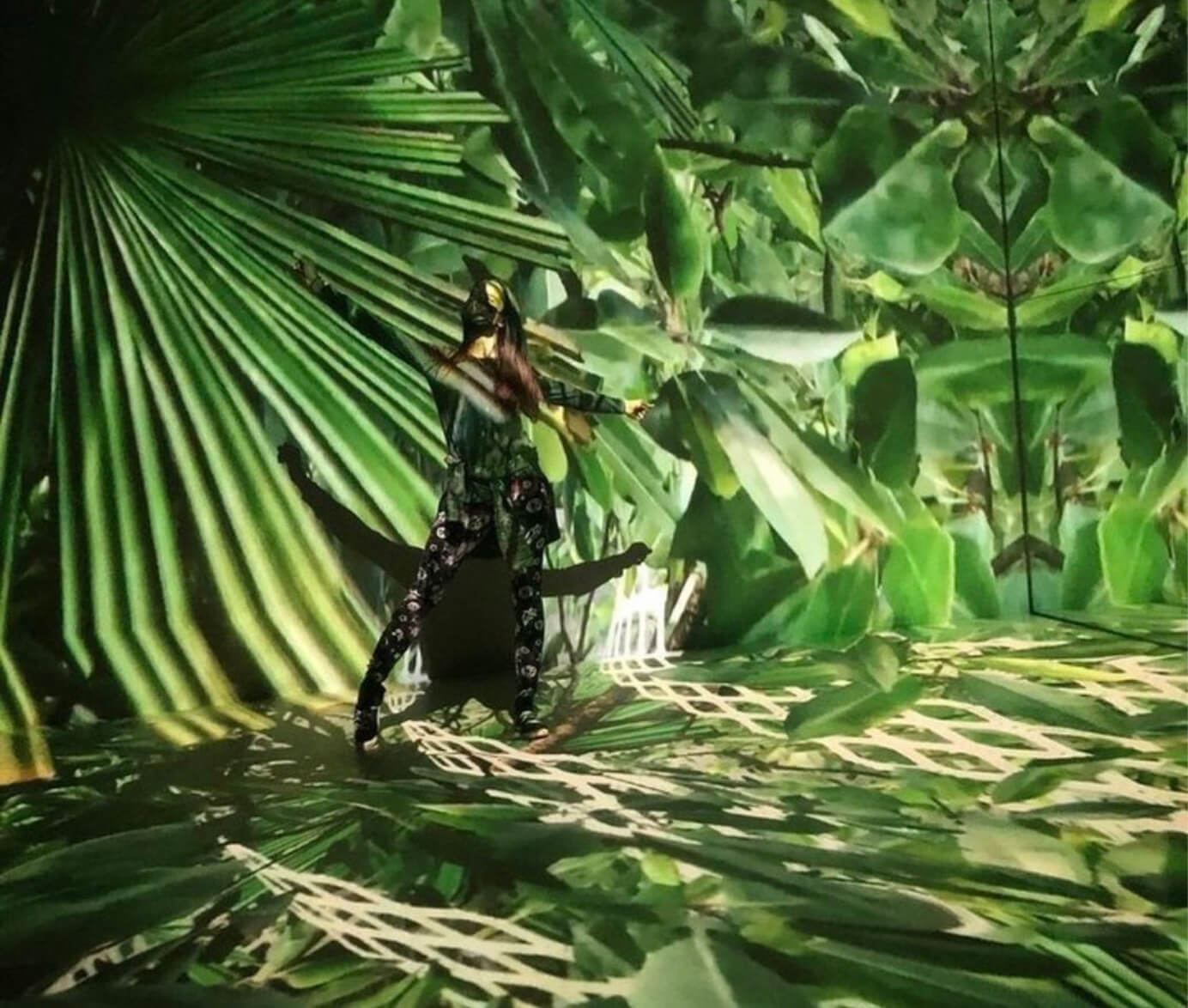 Arcadia Earth | An Immersive Art & Technology Experience