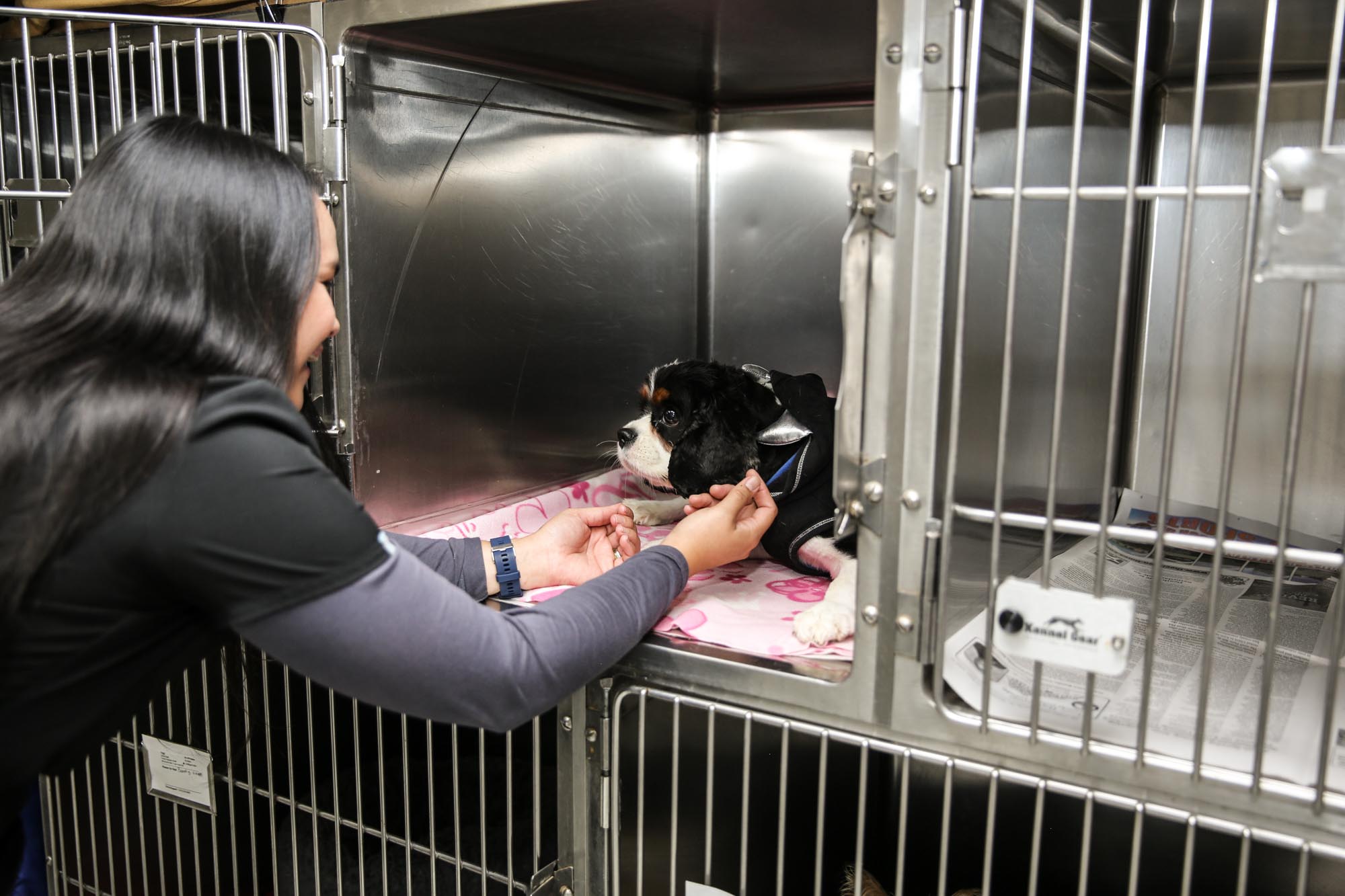 Companion Animal Boarding - Scottsville Animal Hospital
