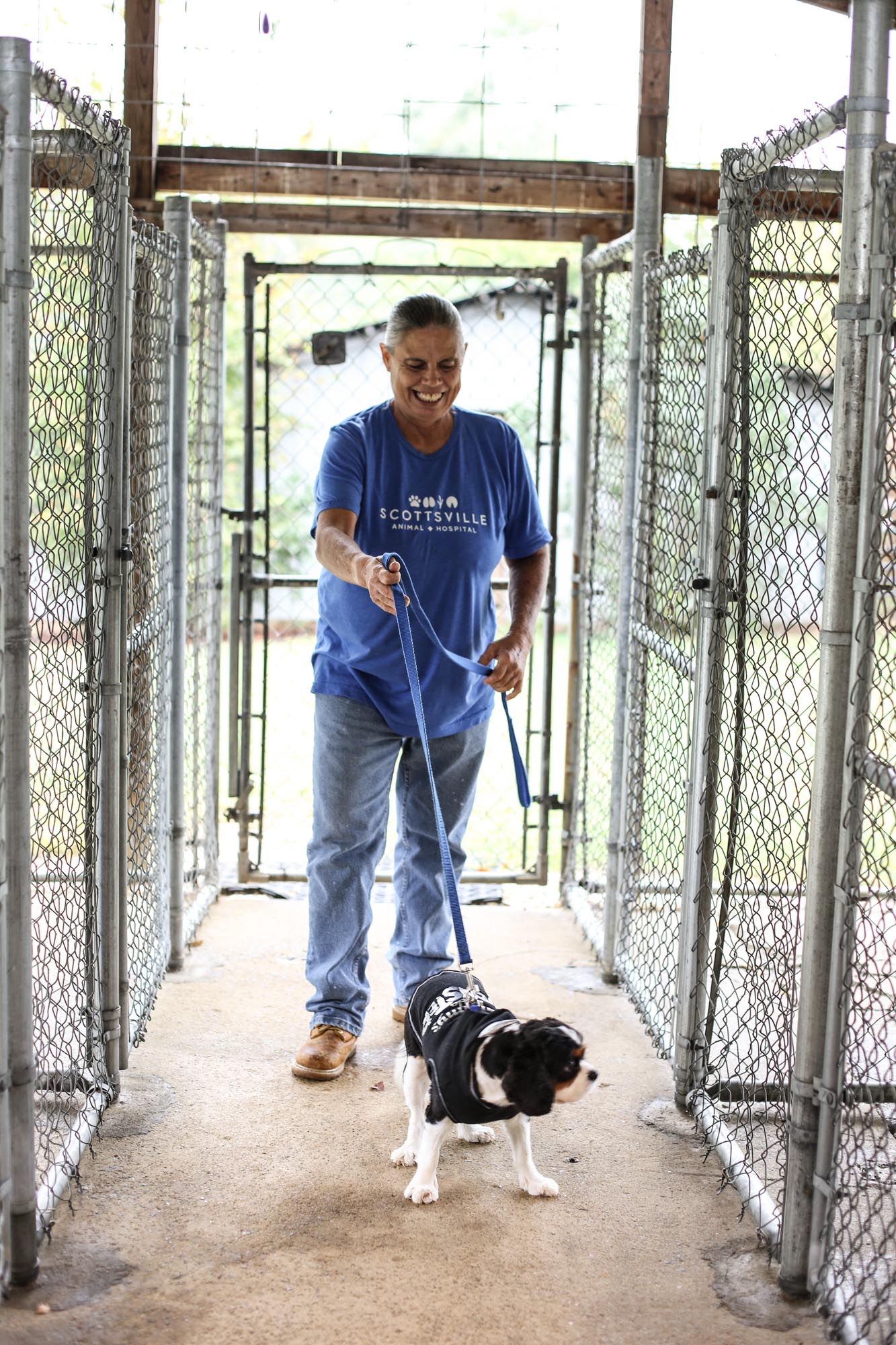 Companion Animal Boarding - Scottsville Animal Hospital