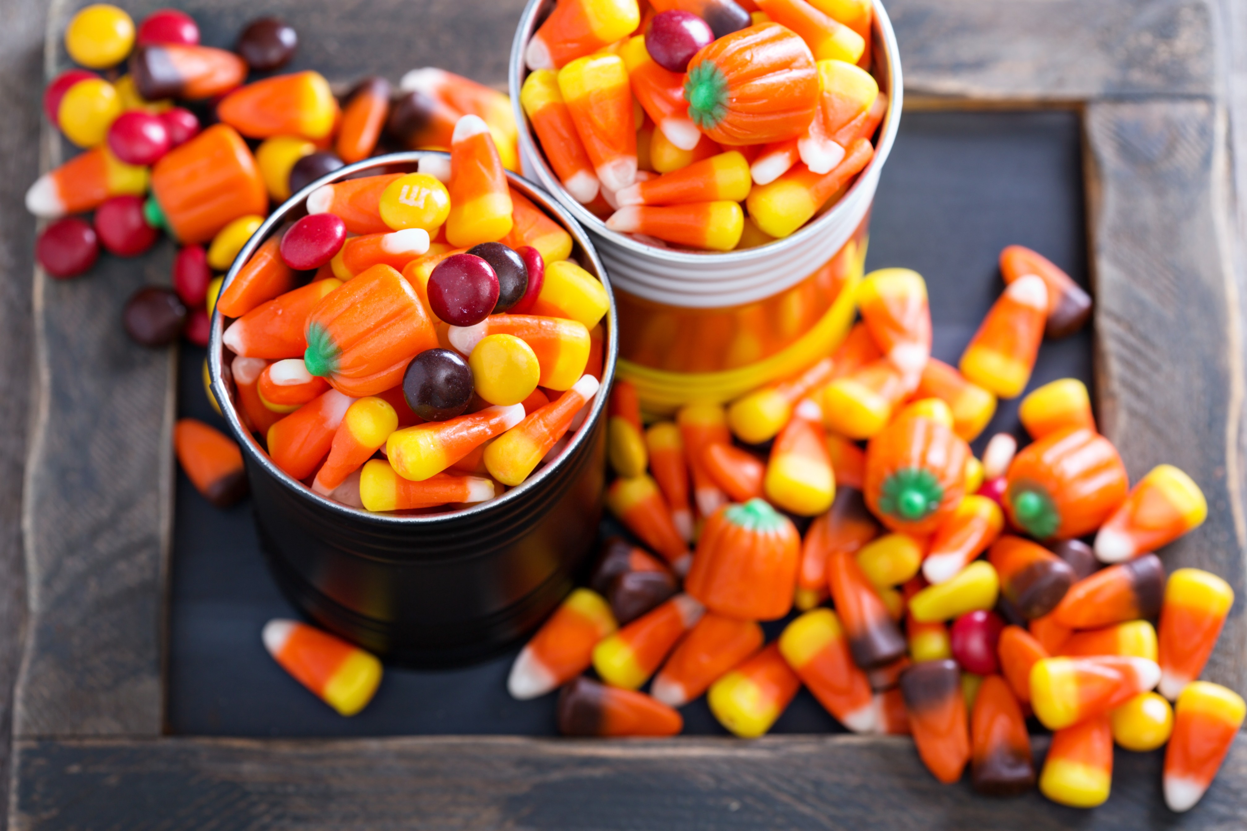 Surviving Candy Cavities | Swish Dental