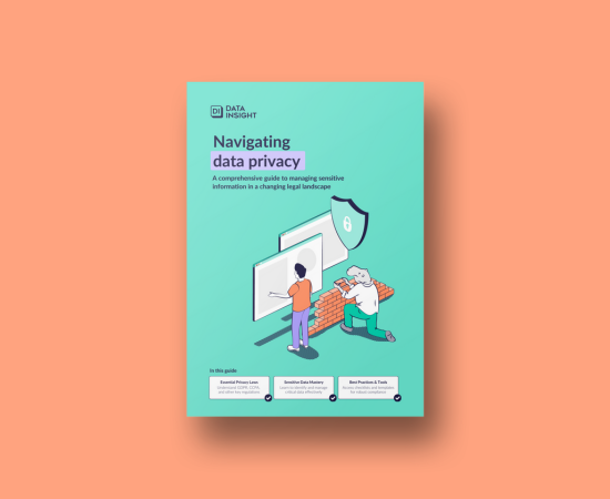 Guide : Navigating Data Privacy [PDF] | Data Insight