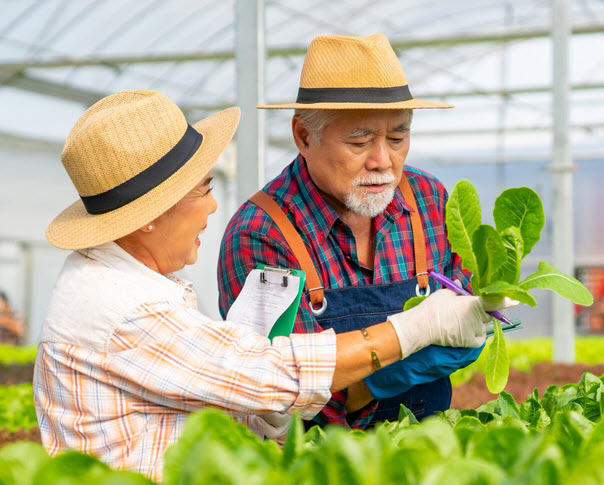 Granite Ledges - 7 Important Steps on your Journey to Greater Wellness