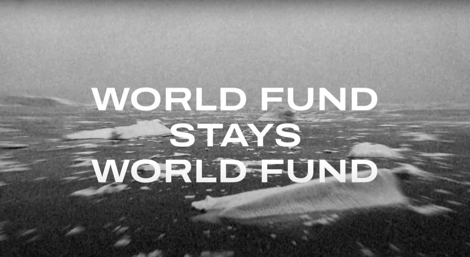 News & Press | Our latest articles & press releases | World Fund
