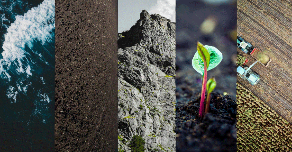 The state of: carbon removal | World Fund