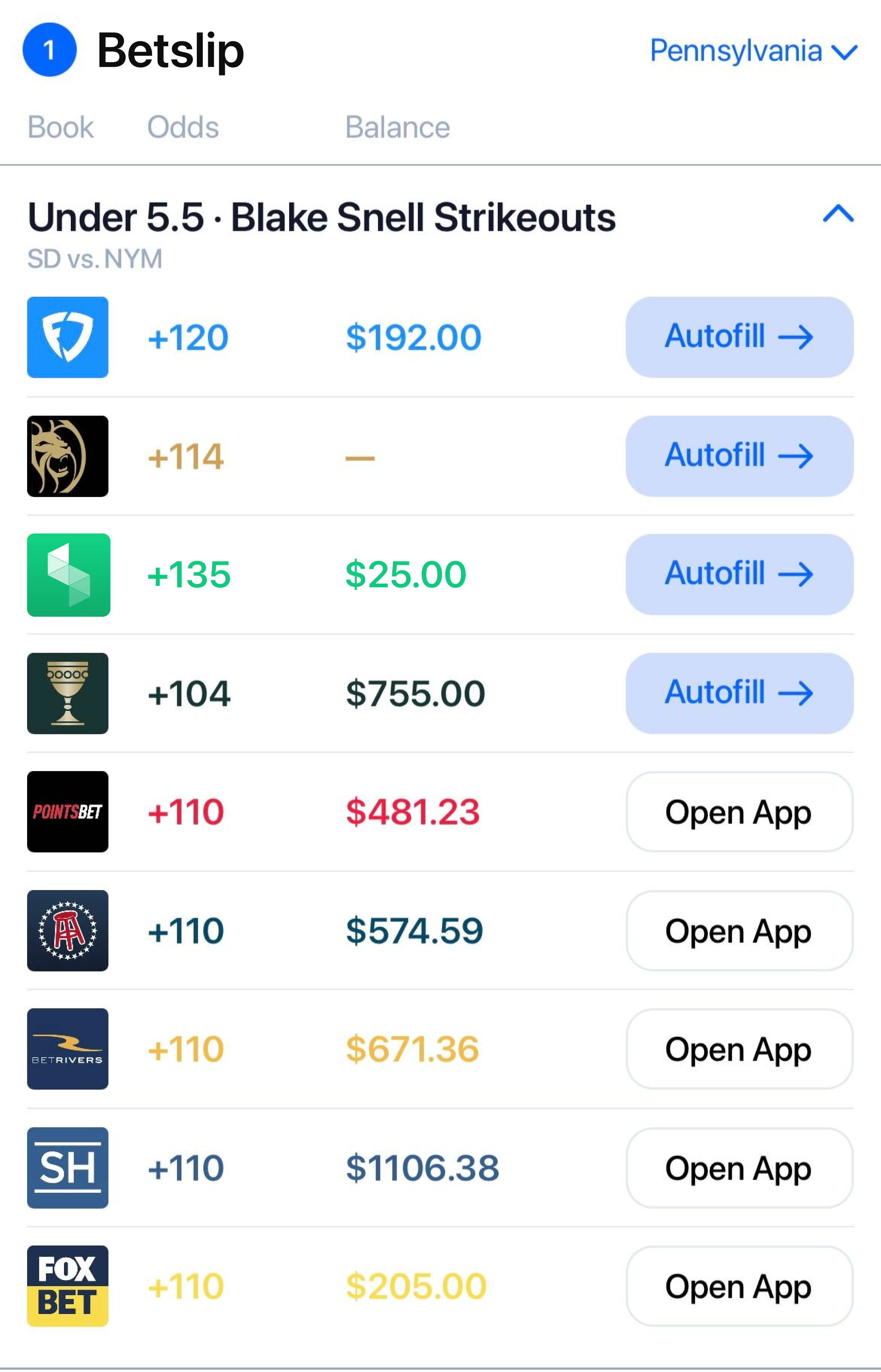 What Does Pikkit Look Like?