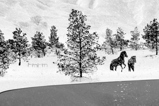 VIFF 2017: 24 Frames - Geist.com