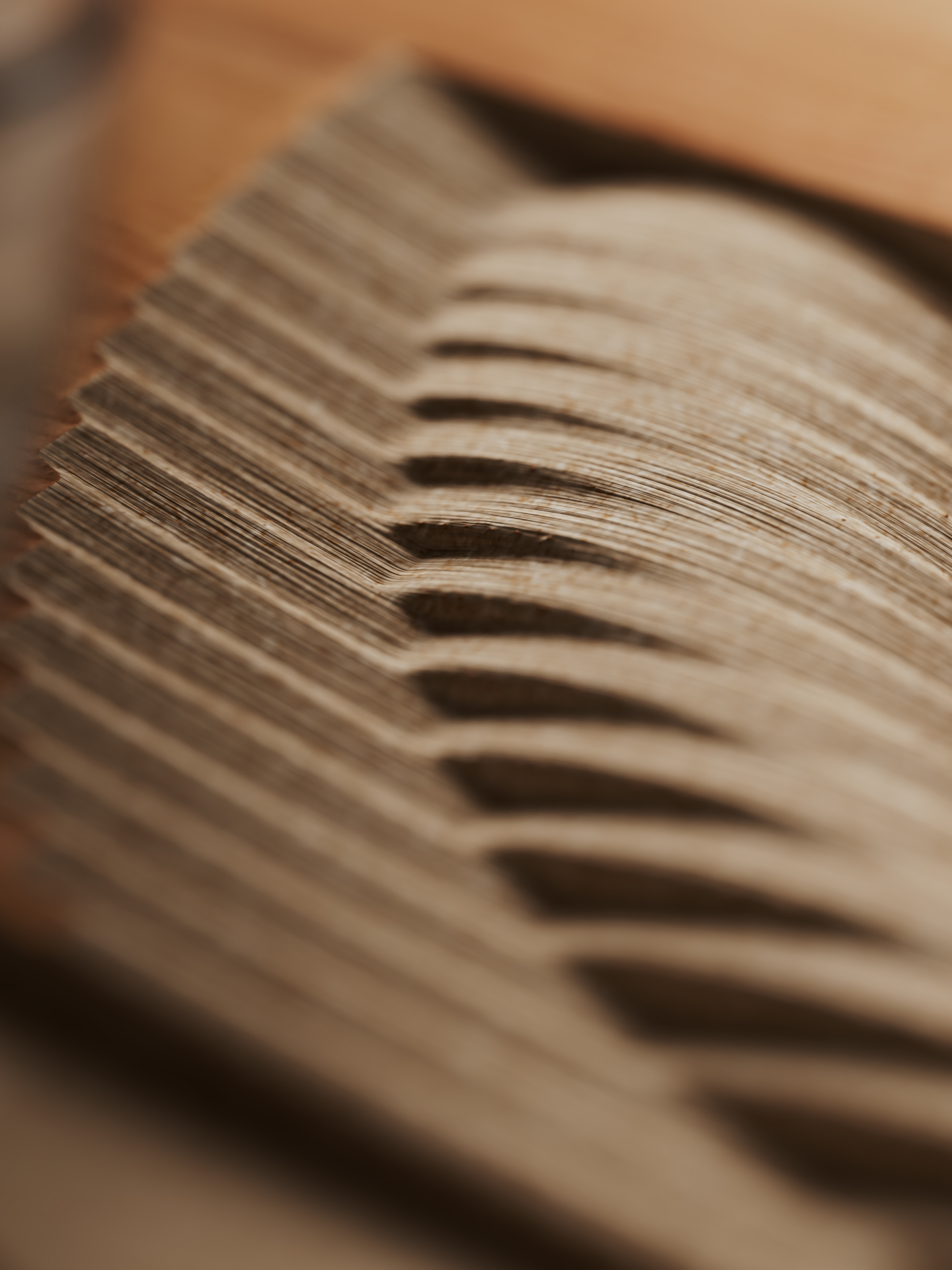 Wood Exploration — Thiago Tallmann