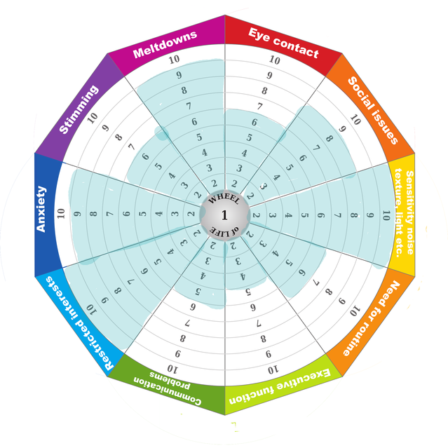What Is The Autism Wheel?