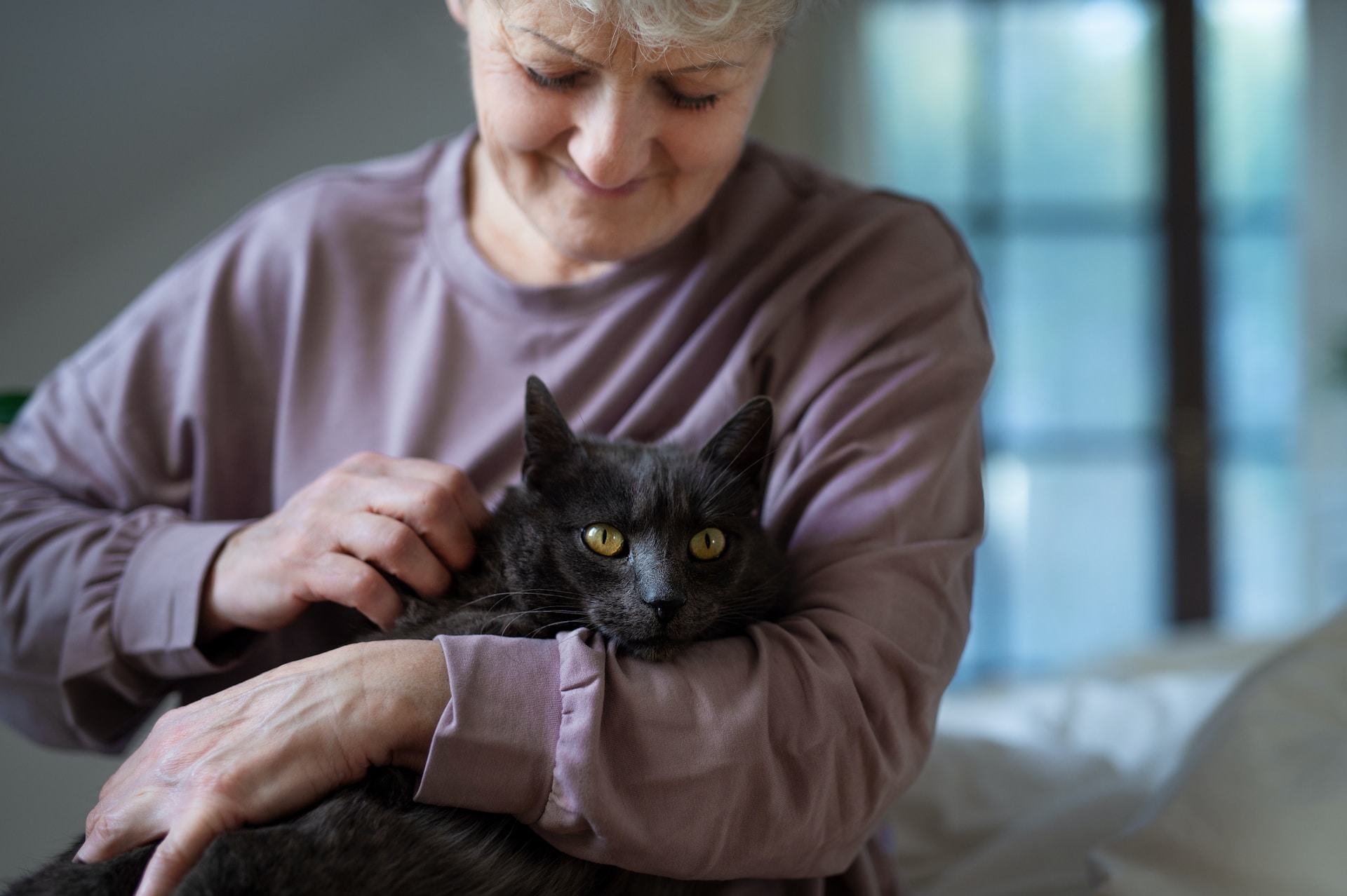 Grieving the Death of Your Cat - Guaranteed Hospice