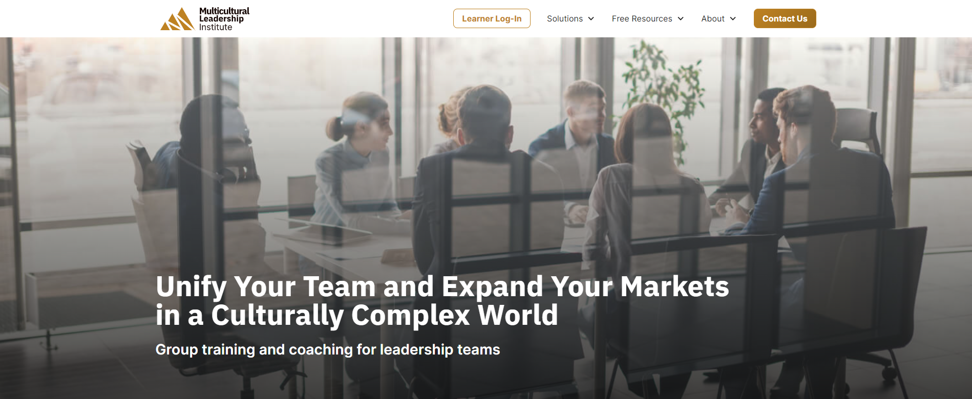 Global Leadership Mastery | The Multicultural Leadership Institute