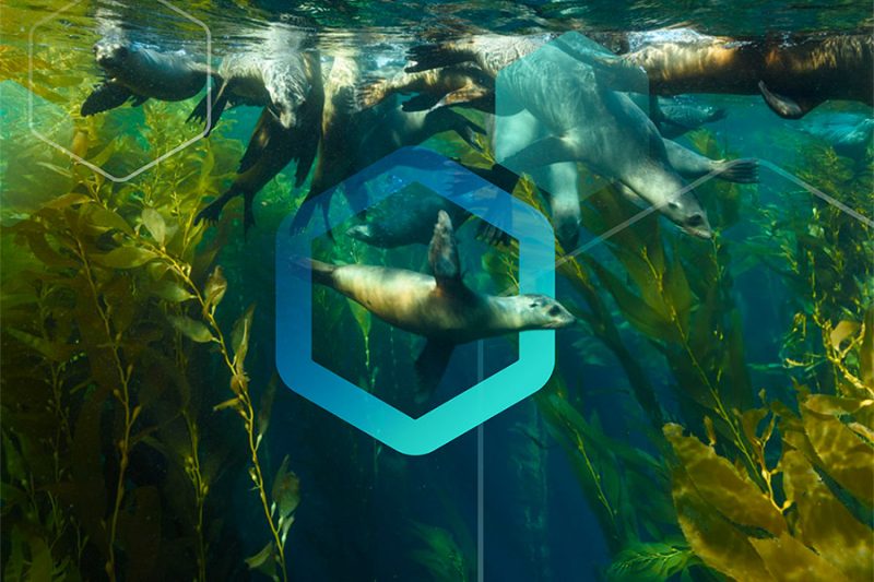 eDNA & Biodiversity Data Analysis by NatureMetrics