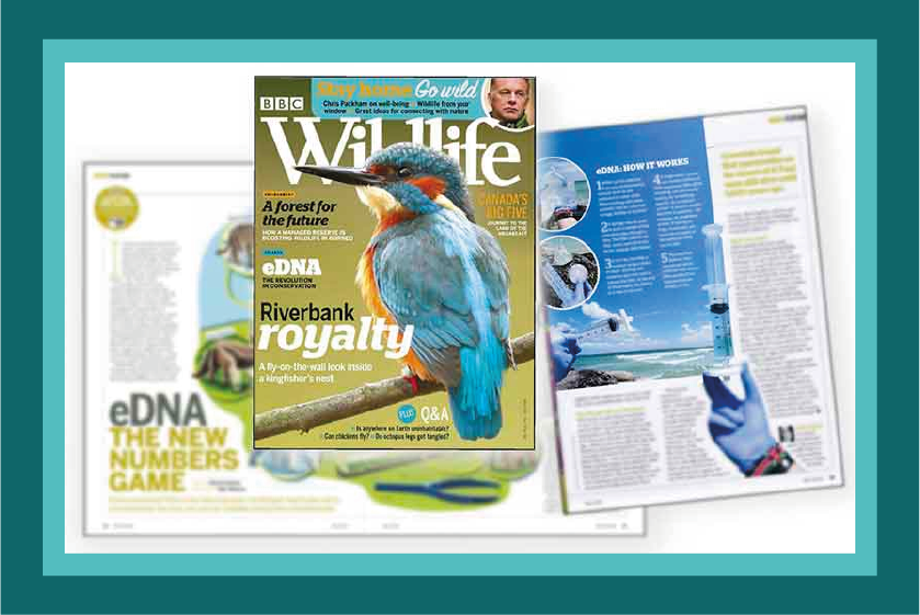 NatureMetrics featured in BBC Wildlife magazine - NatureMetrics