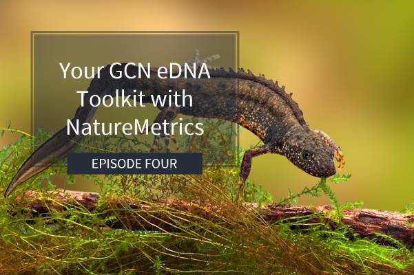 eDNA & Biodiversity Webinars