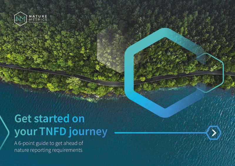 TNFD is here: why businesses need to start now to get ahead of new ...