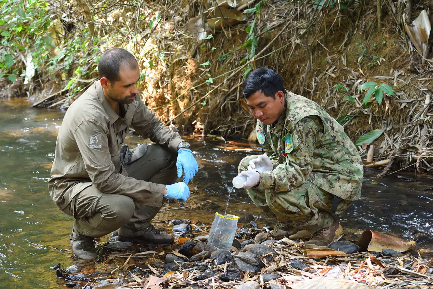 Extensive practical guide to DNA-based biodiversity assessment methods ...