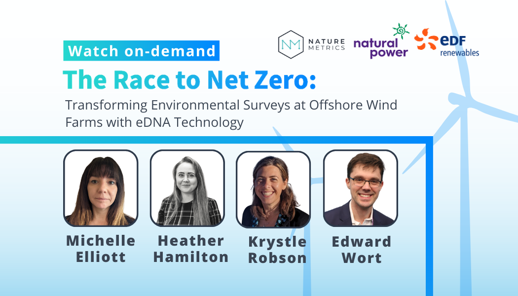 Using eDNA to Unlock the Secrets of Offshore Wind Farms' Marine Ecosystems