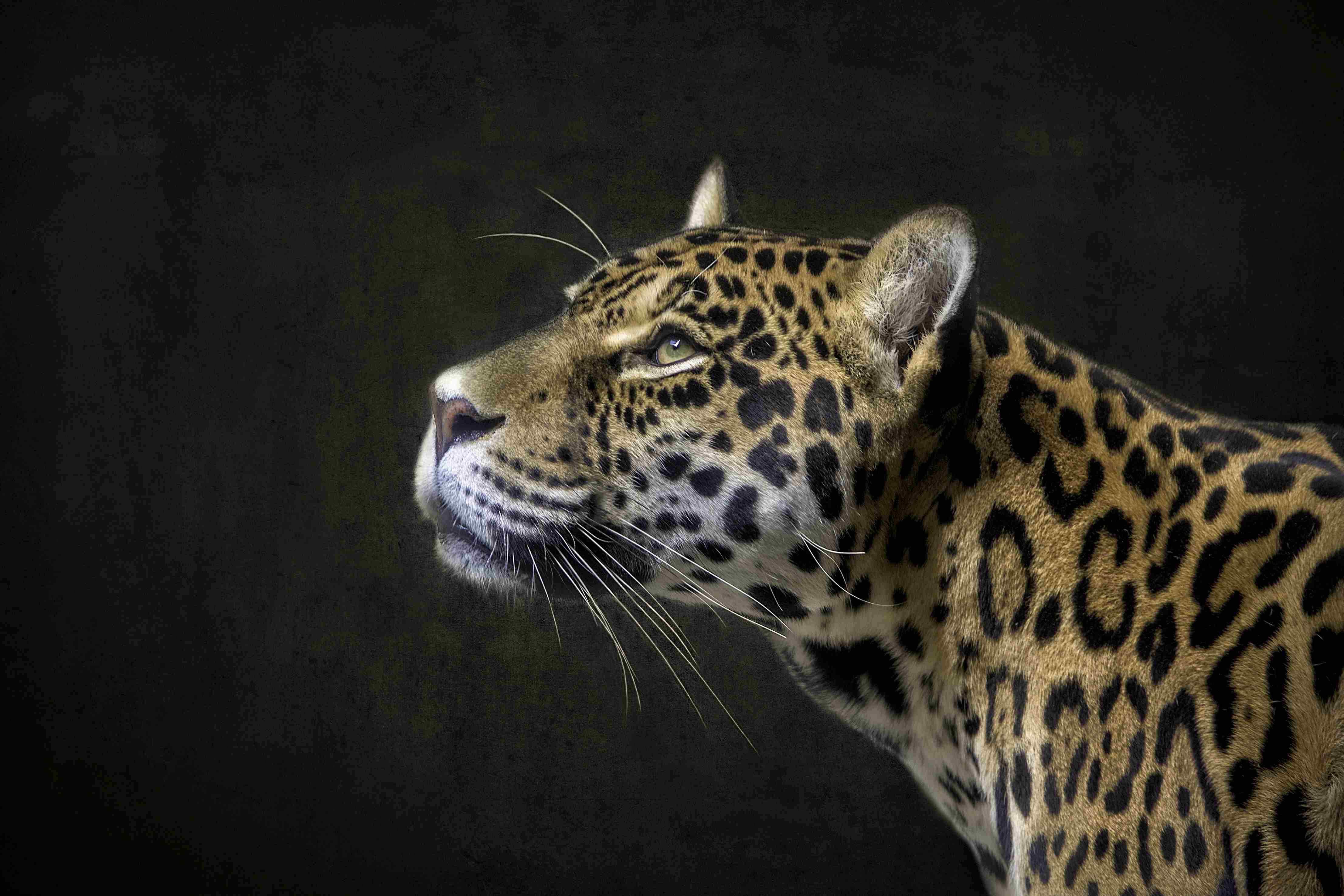 Key Trends That Will Shape Nature Progress in 2024