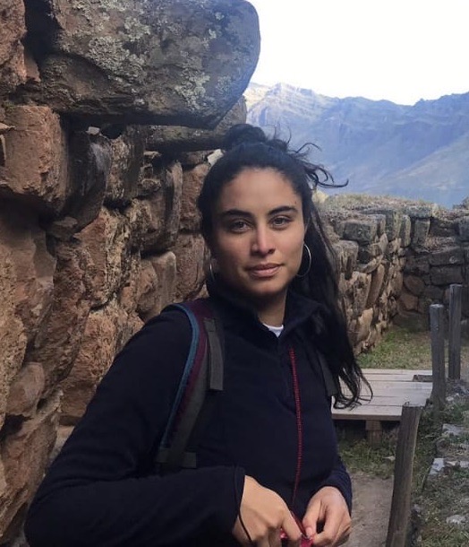 “Más grave que lo que desconoce la ciencia, es lo que desconoce la sociedad”, Germán Andrade ...