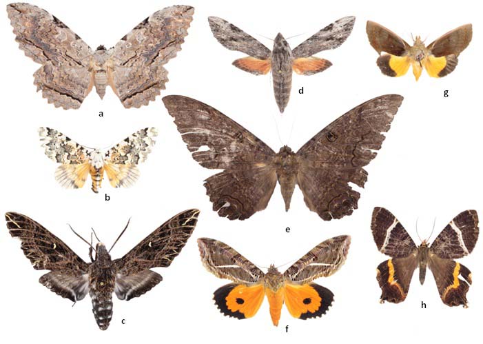 ColeccionesApr 15, 2015