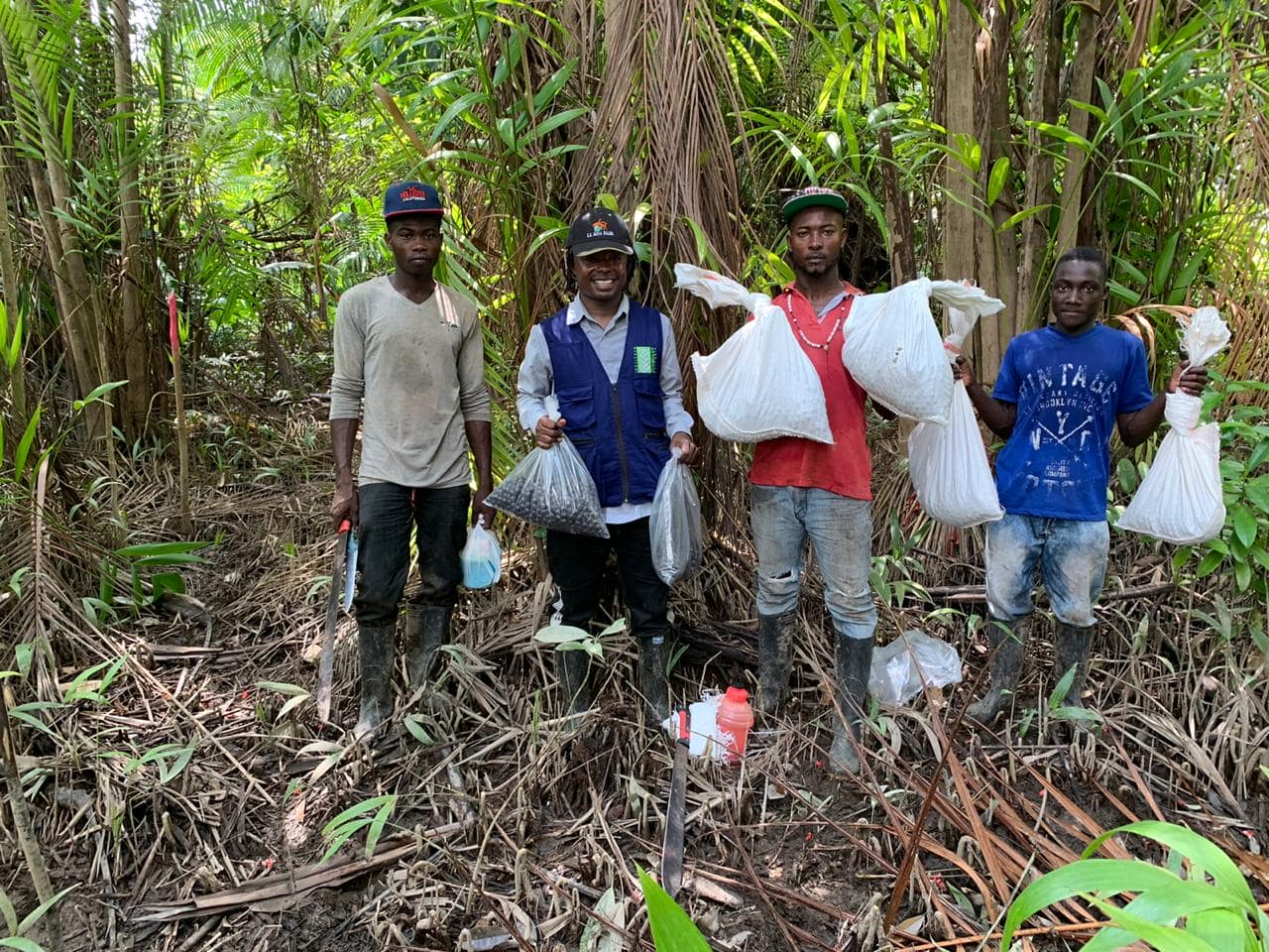 Productos forestales no maderables, alternativa de conservación de ...