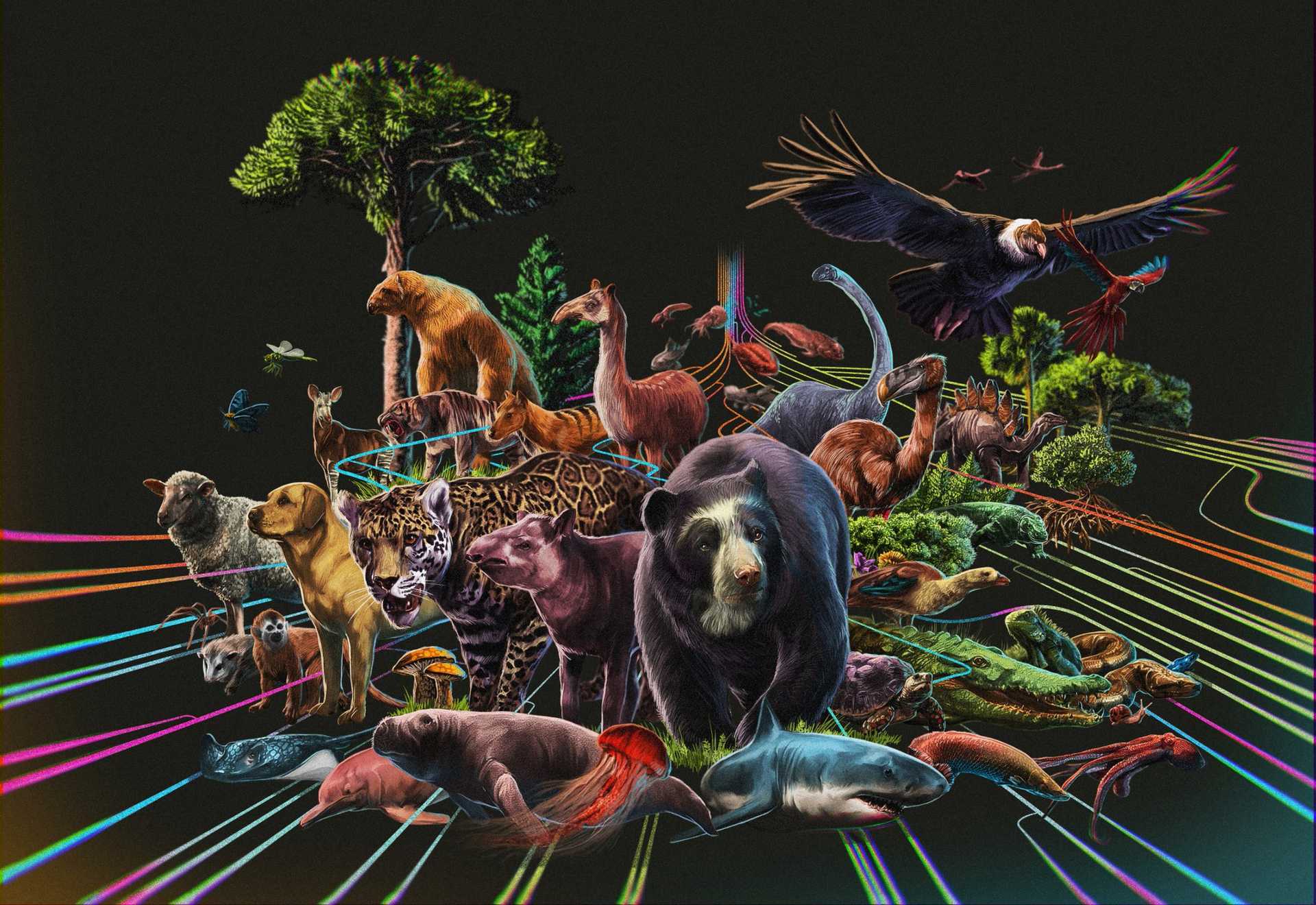 Así era la Colombia biodiversa de Hace TiempoApr 26, 2018