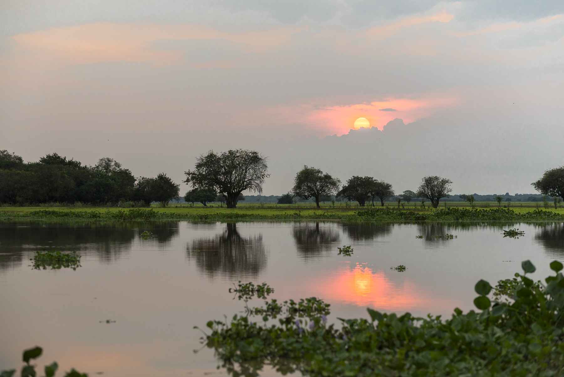 Humedales: un tesoro anfibio que sobrevive en el 26 por ciento de ...