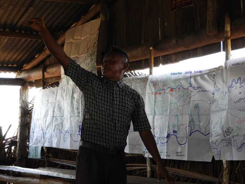 Aliwa: la selva amazónica que emergió en un cráter de hace 30 millones ...