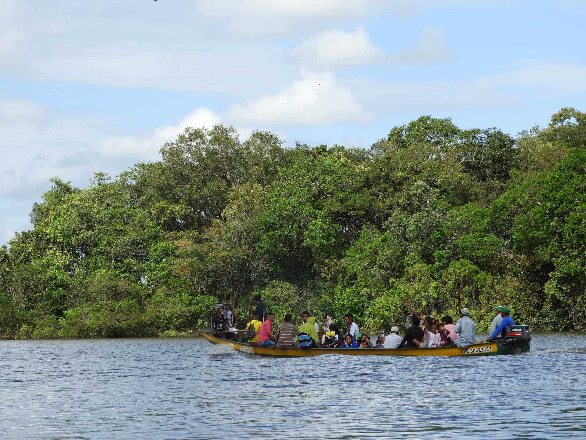 Aliwa: la selva amazónica que emergió en un cráter de hace 30 millones ...