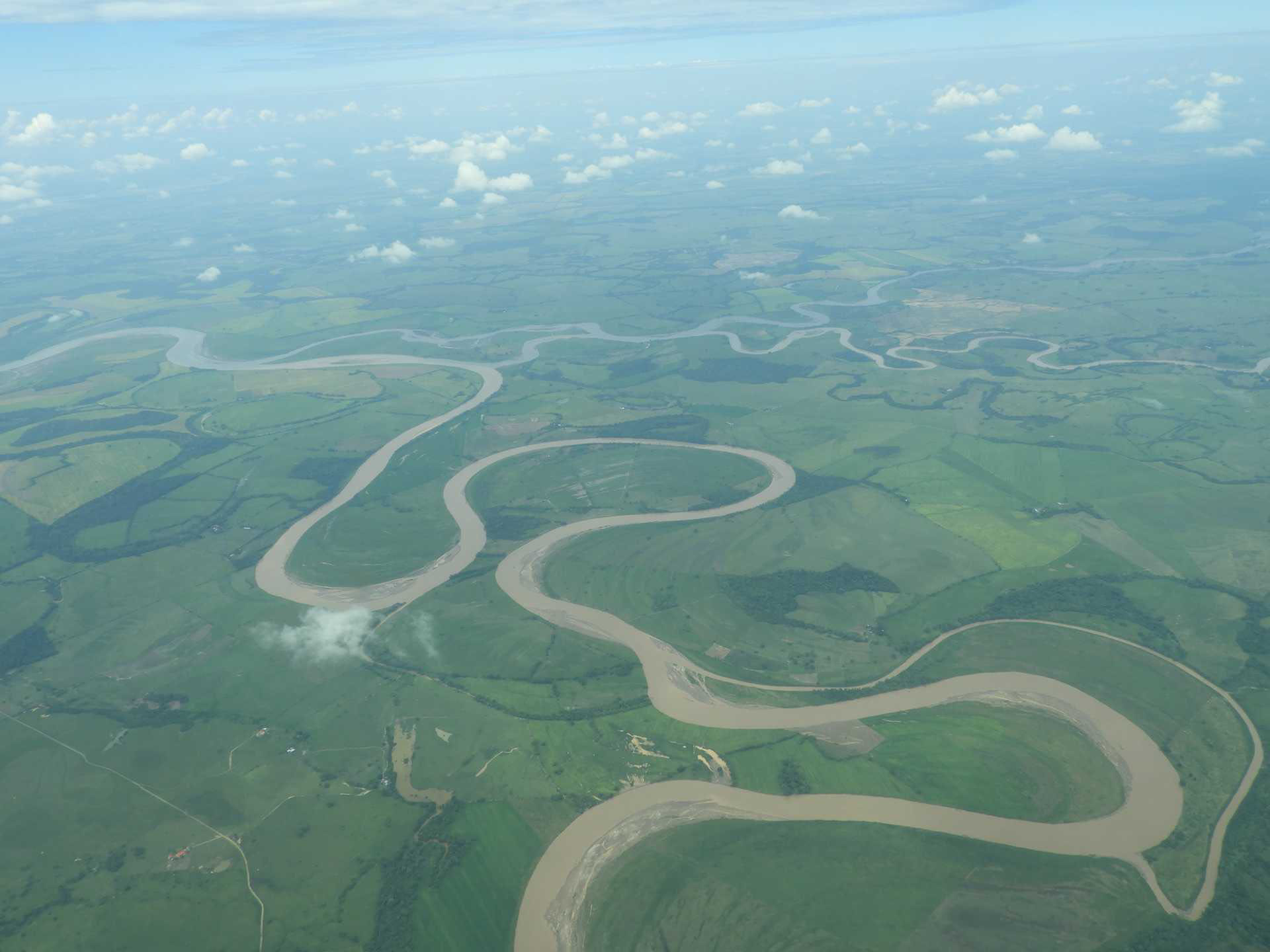 Aliwa: la selva amazónica que emergió en un cráter de hace 30 millones ...
