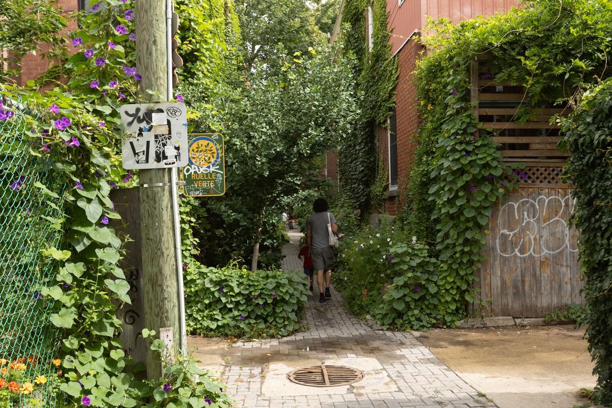 À qui profitent réellement les ruelles vertes ? — La Converse