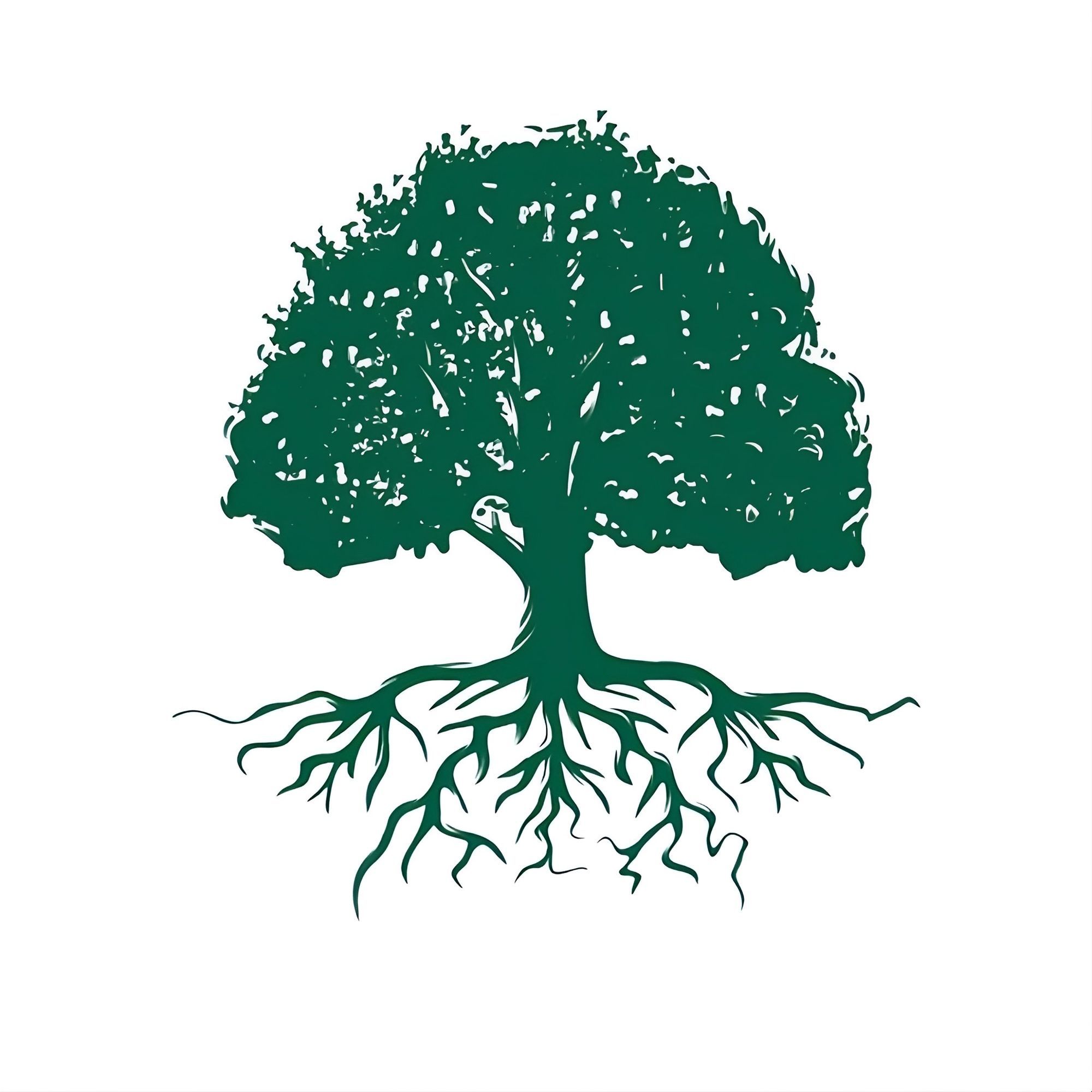 Elm Tree Capital Partners