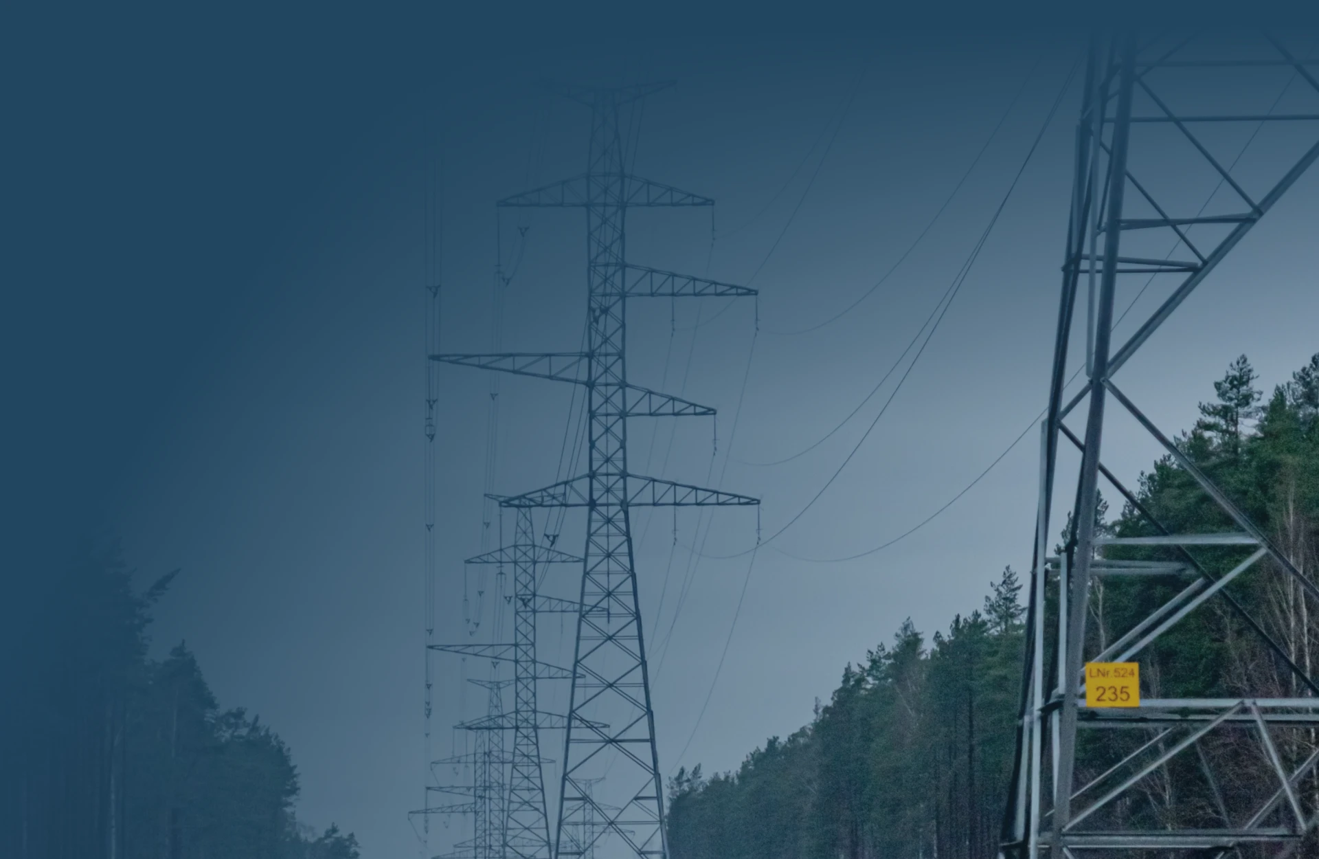 Automate Utility Pole Inspections: Double Production, Slash Costs