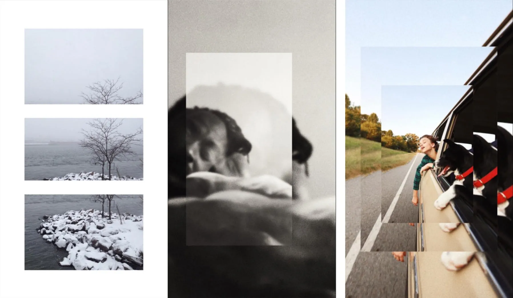 Photo Collage Maker App | VSCO