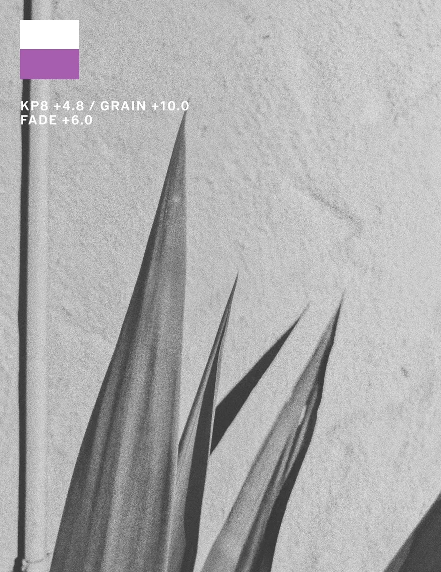 Film Grain Overlay Filter for Photos & Videos | VSCO