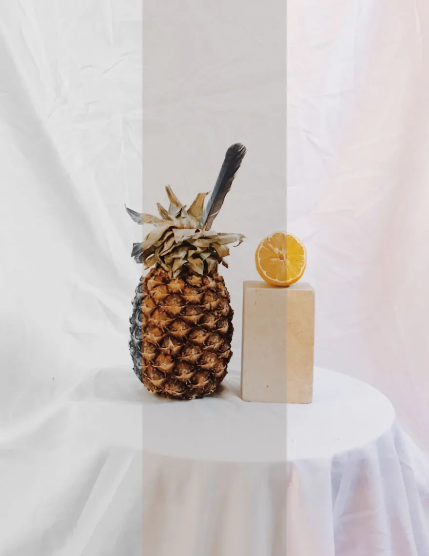 VSCO Recipes for Batch Photo & Video Editing