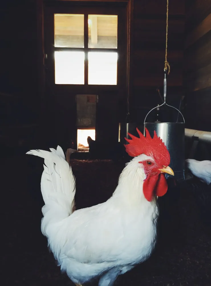 VSCO Hub | Freelance Photographers for Hire on VSCO