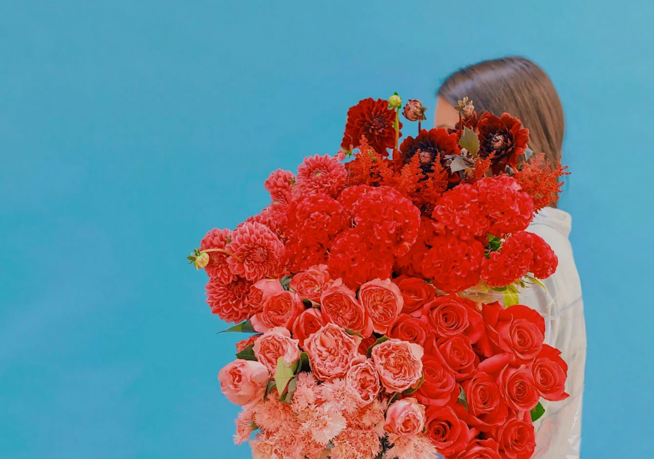 VSCO Features: Photo & Video App for Desktop & Mobile