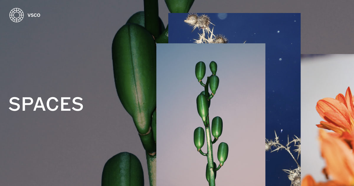VSCO Spaces | Photography Groups & Photo Sharing