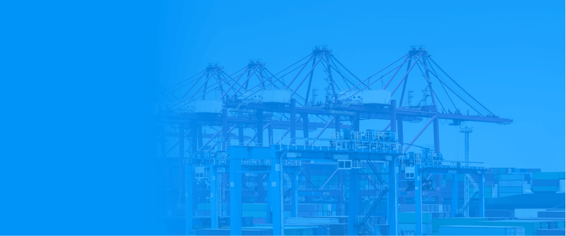 BOLD Distribution Enablement System | BOLD VAN