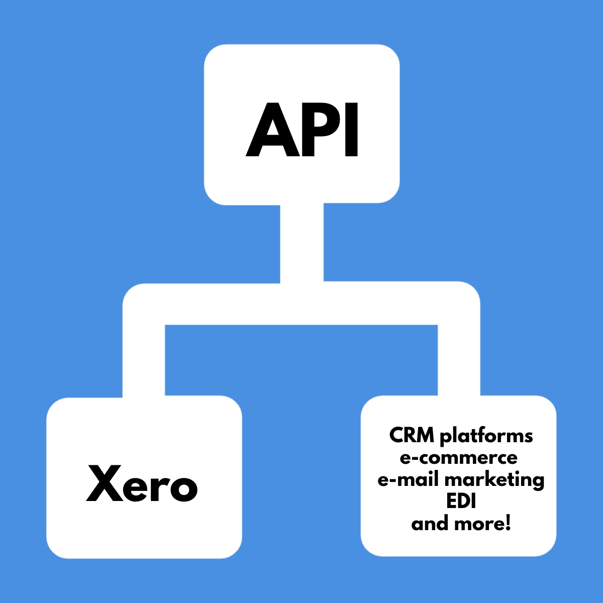 A Xero API Connects Your Essential Applications | BOLD VAN