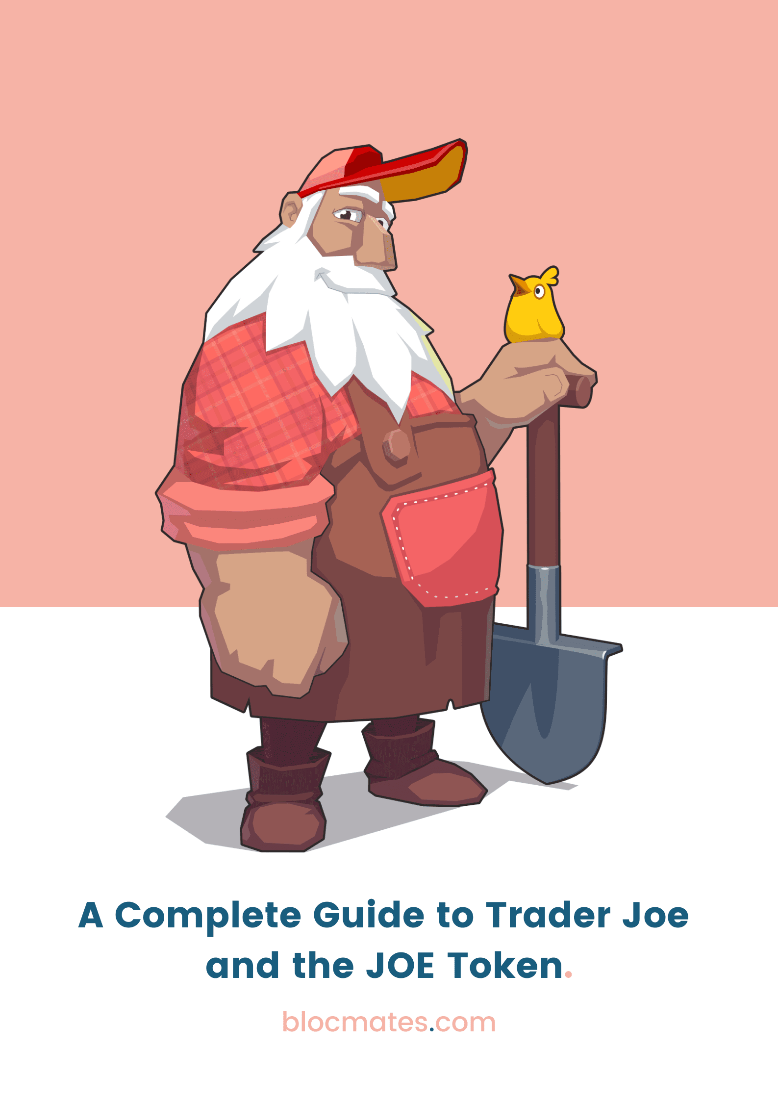 The Complete Guide to Trader Joe and the JOE token.